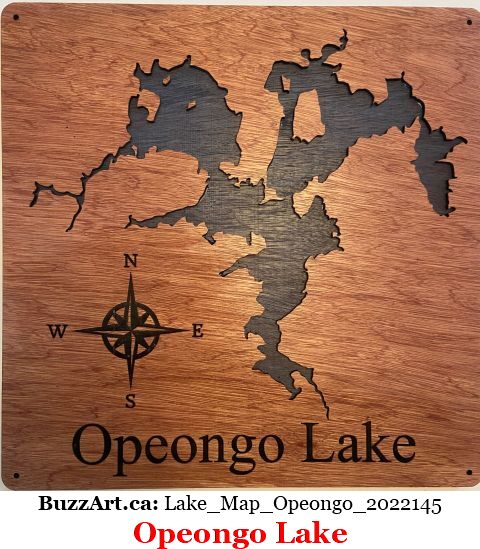 Custom Wooden Lake and City Maps - Buzz Art