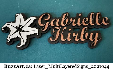 Laser Multi layered signs - Buzz Art